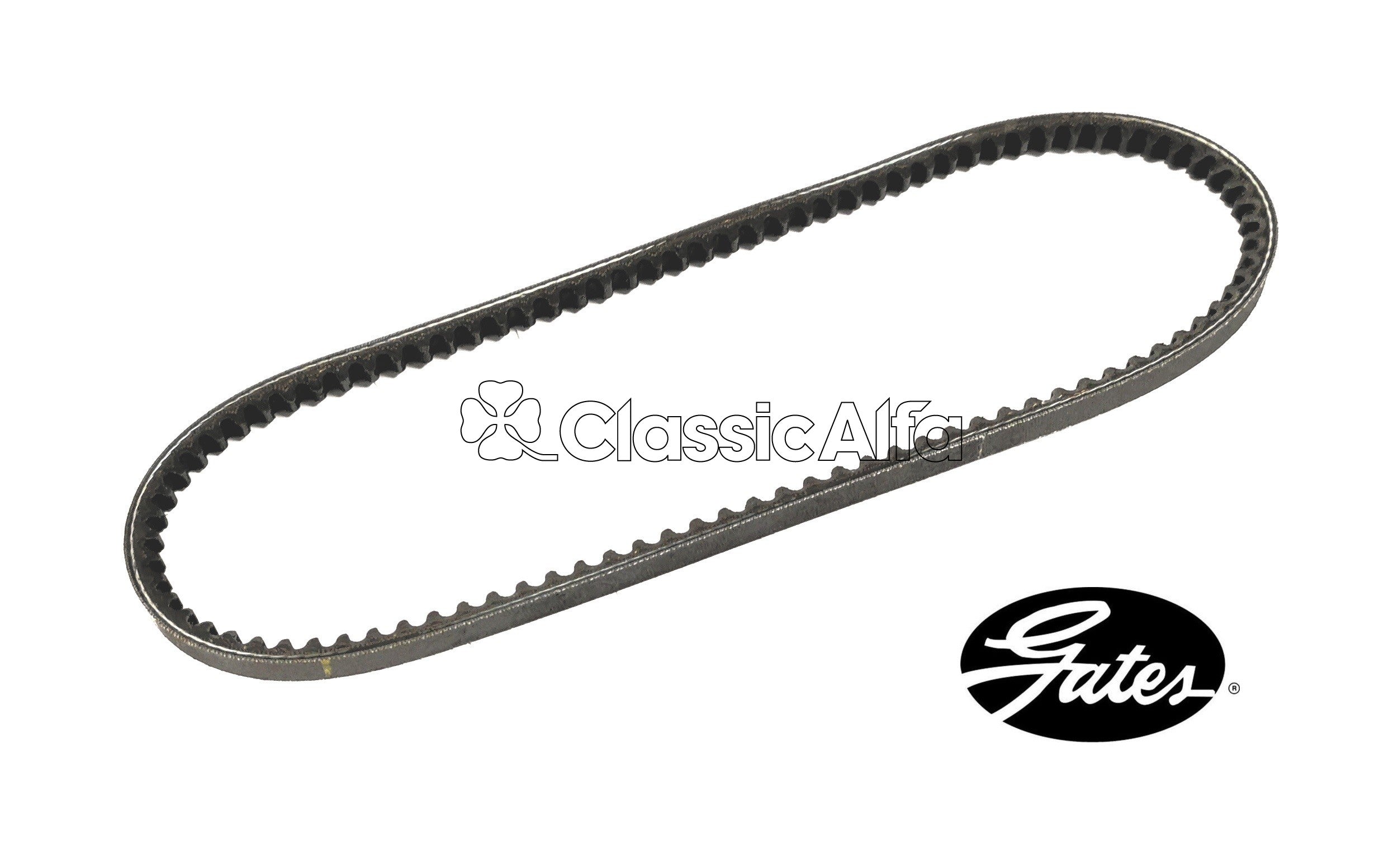 WA044 FAN BELT - DYNAMO/GENERATOR CARS – Classic Alfa